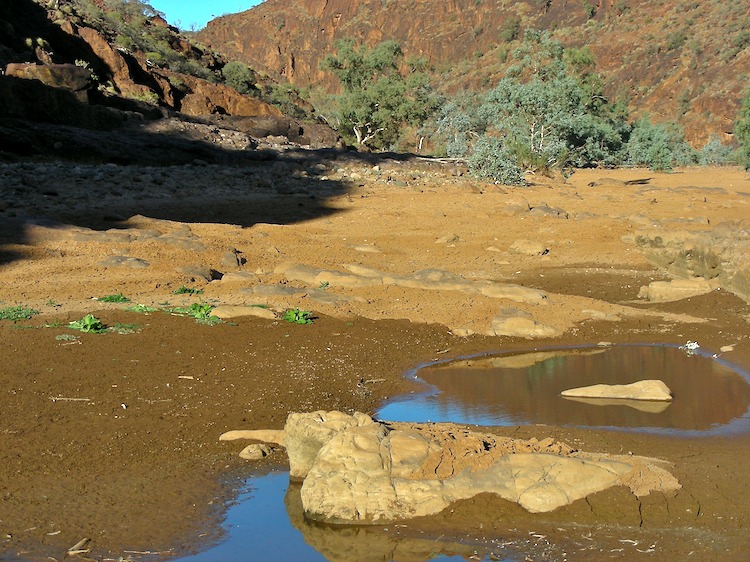 Desert Biomes on emaze
